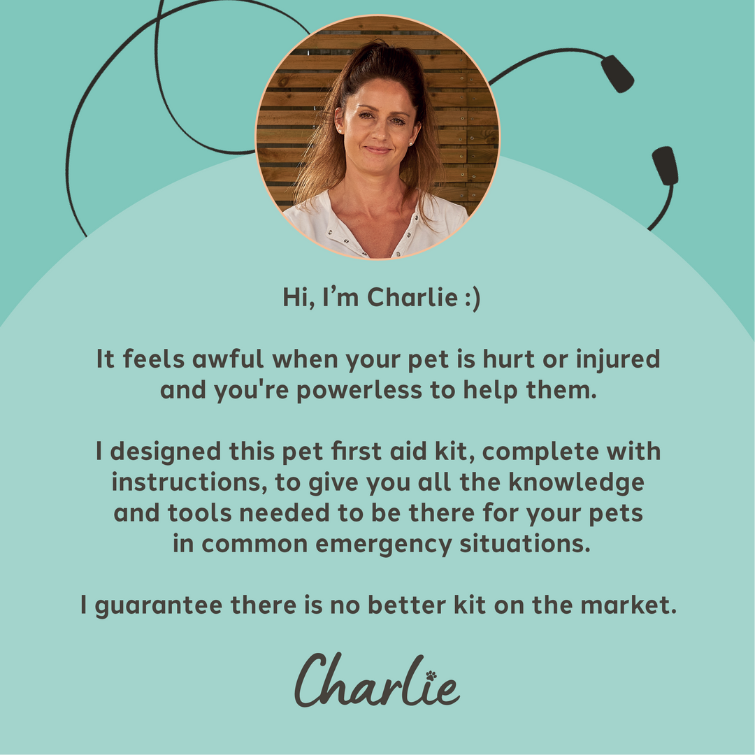 Pet First Aid Kit – CharlieTheVet