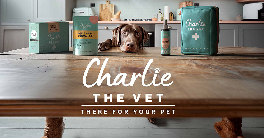 Pet First-Aid (Videos) – CharlieTheVet