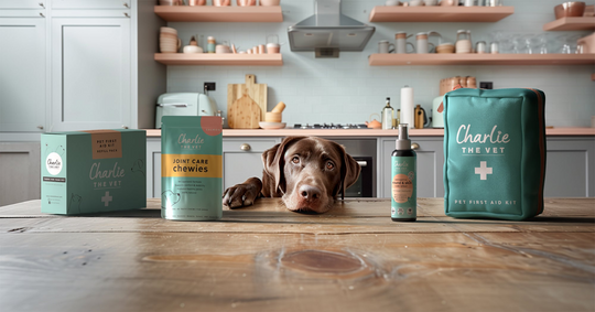 Charlie The Vet - There For Your Pet – CharlieTheVet