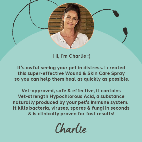 Charlie The Vet - There For Your Pet - Wound & Skin Care Spray